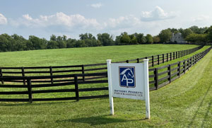 Home [anthonyperrettifarm.com]