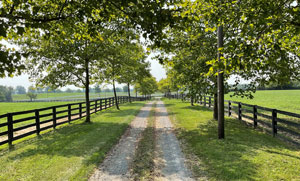 Home [anthonyperrettifarm.com]